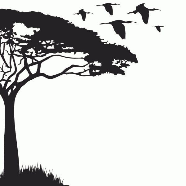 Acacia Half Tree – vinyl wall sticker – Design Synergy Shop